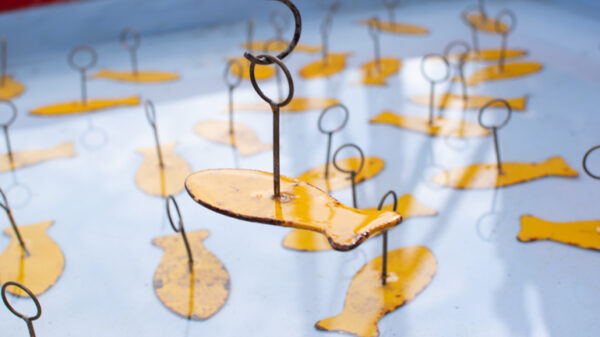 Hook A Fish | Games & Sidestalls | Carters Steam Fair