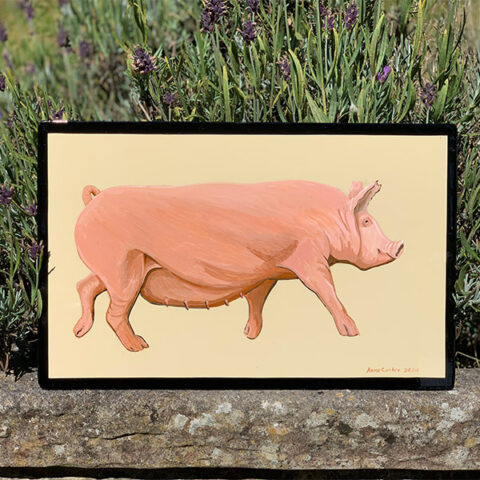 Pink Pig - An Anna Carter Painting - Artwork, Joby Carter Originals ...