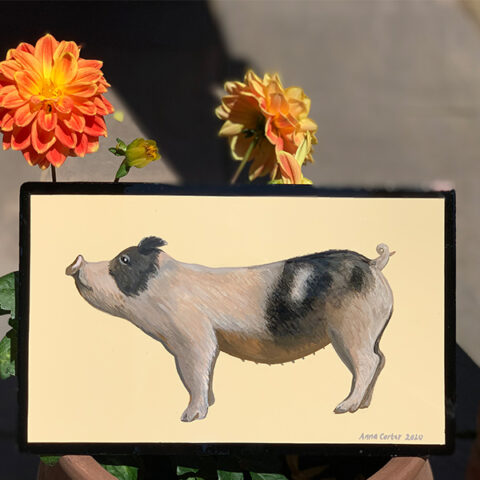 Pig - An Anna Carter Painting - Artwork, Joby Carter Originals ...